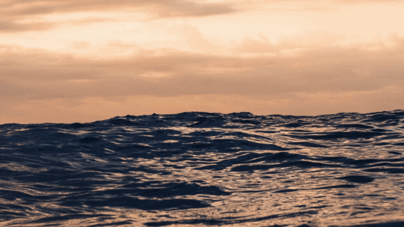 Google Images Animated Gif